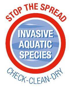 Invasive Species in London